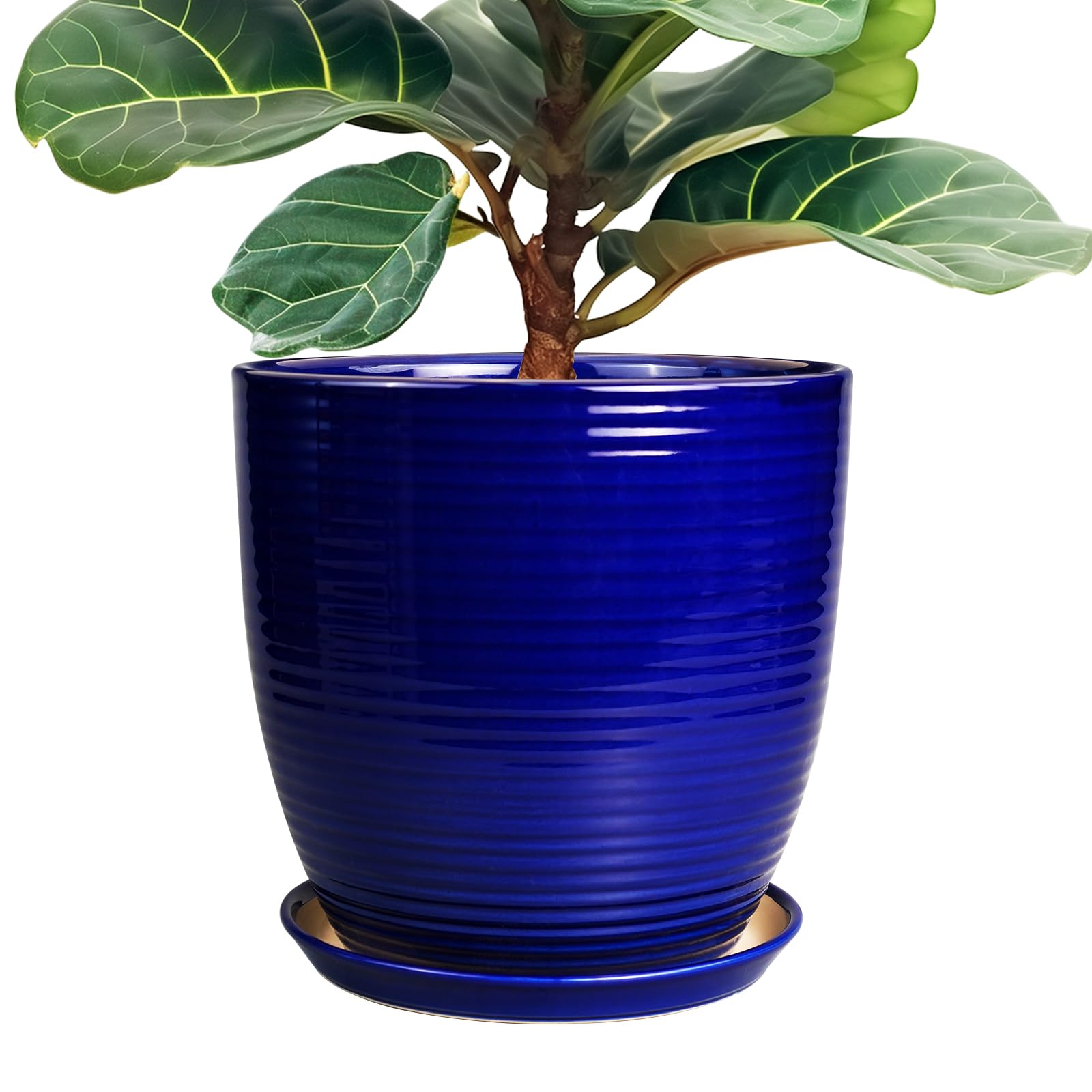 Amazon.com : EPFamily Ceramic Planter Pot - 12 Inch Pot for Plants ...