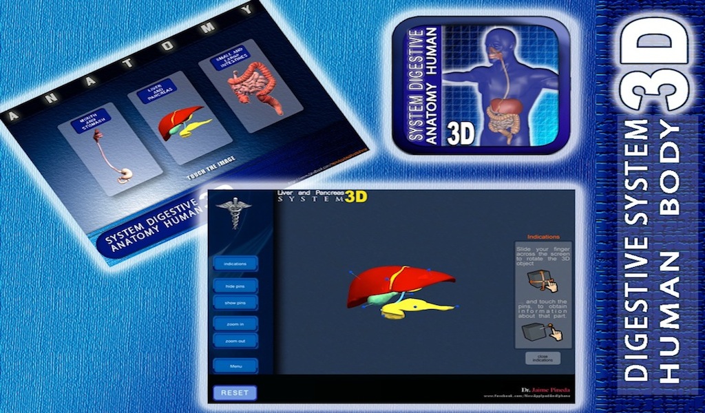 Digestive System - App on Amazon Appstore