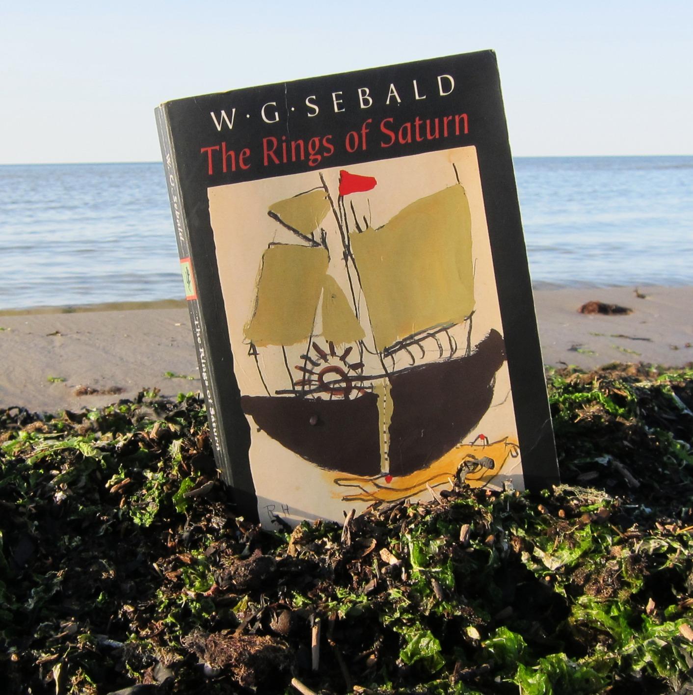 The Rings Of Saturn: by W.G. Sebald: 1 (Vintage Classics): Amazon.co.uk ...