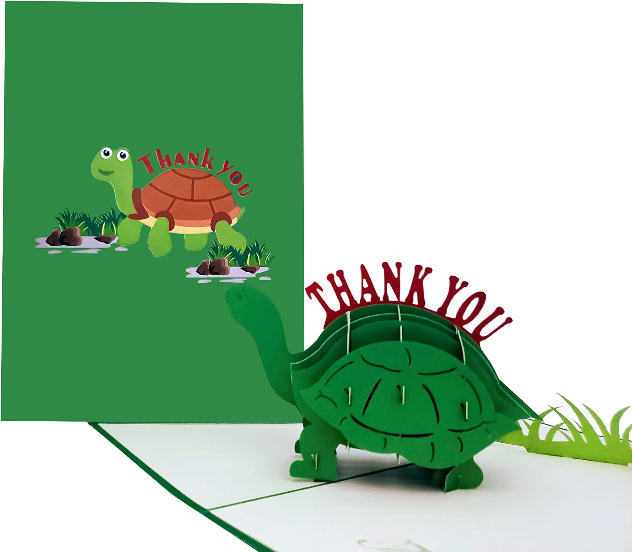 Amazon.com : iGifts And Cards Cute Turtle Thank You 3D Pop Up Greeting ...
