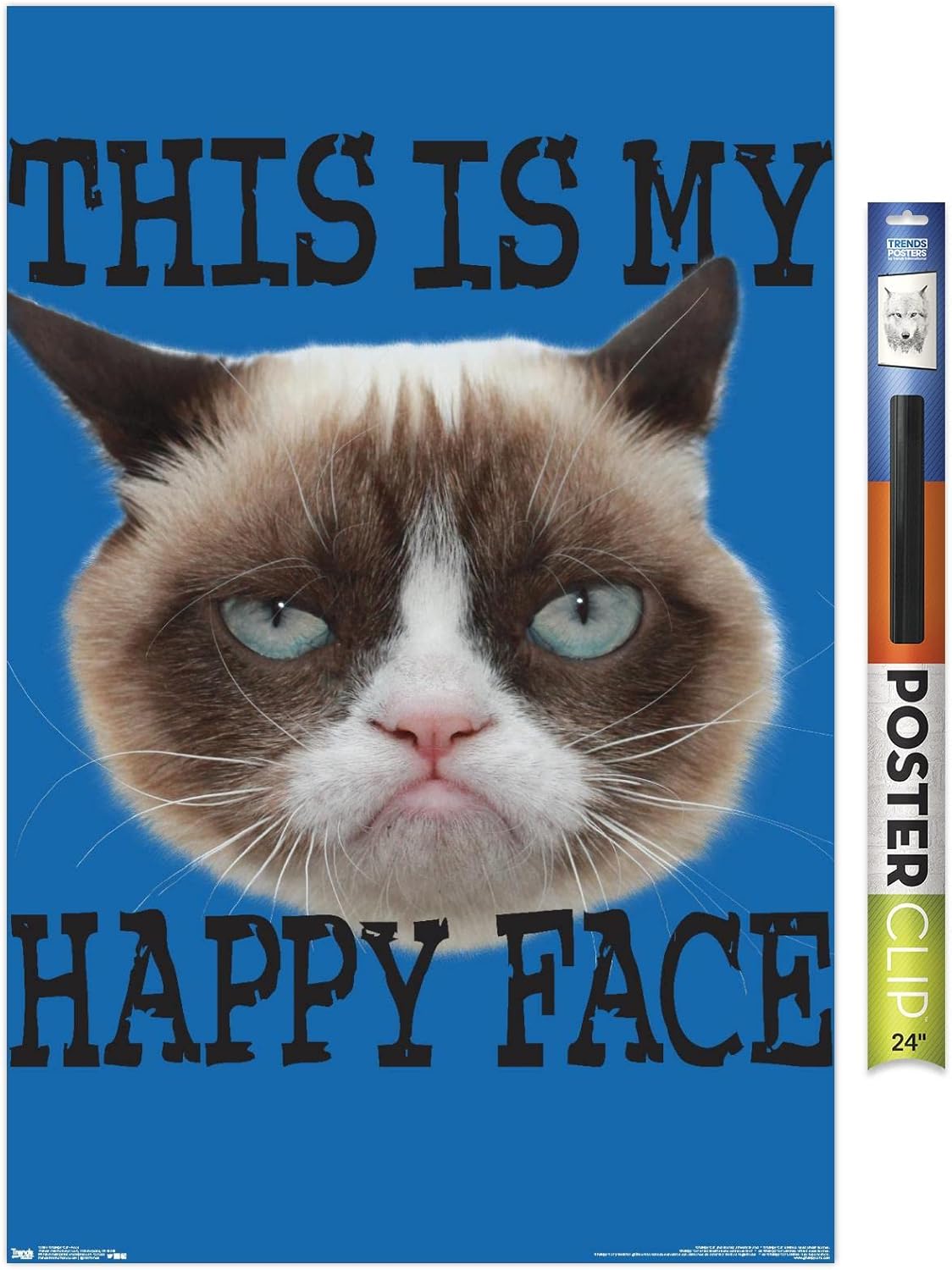 Amazon.com: Trends International Grumpy Cat - Face Wall Poster, 22.375 ...