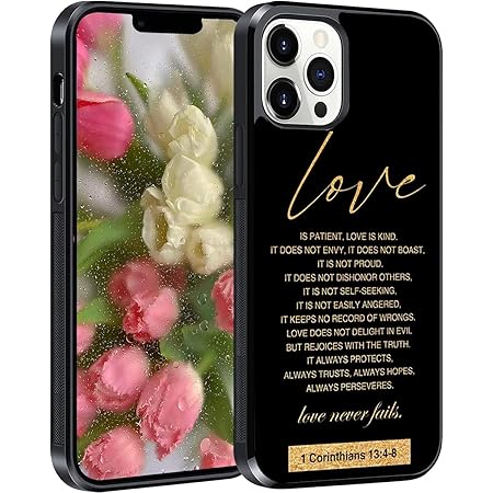 Amazon.com: Inspirational Quotes I CAN DO All Things Rosy Christian ...