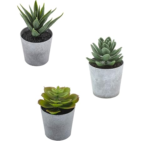 Amazon.com: Artificial Succulents Set of 3 Mini Realistic Fake Plants ...