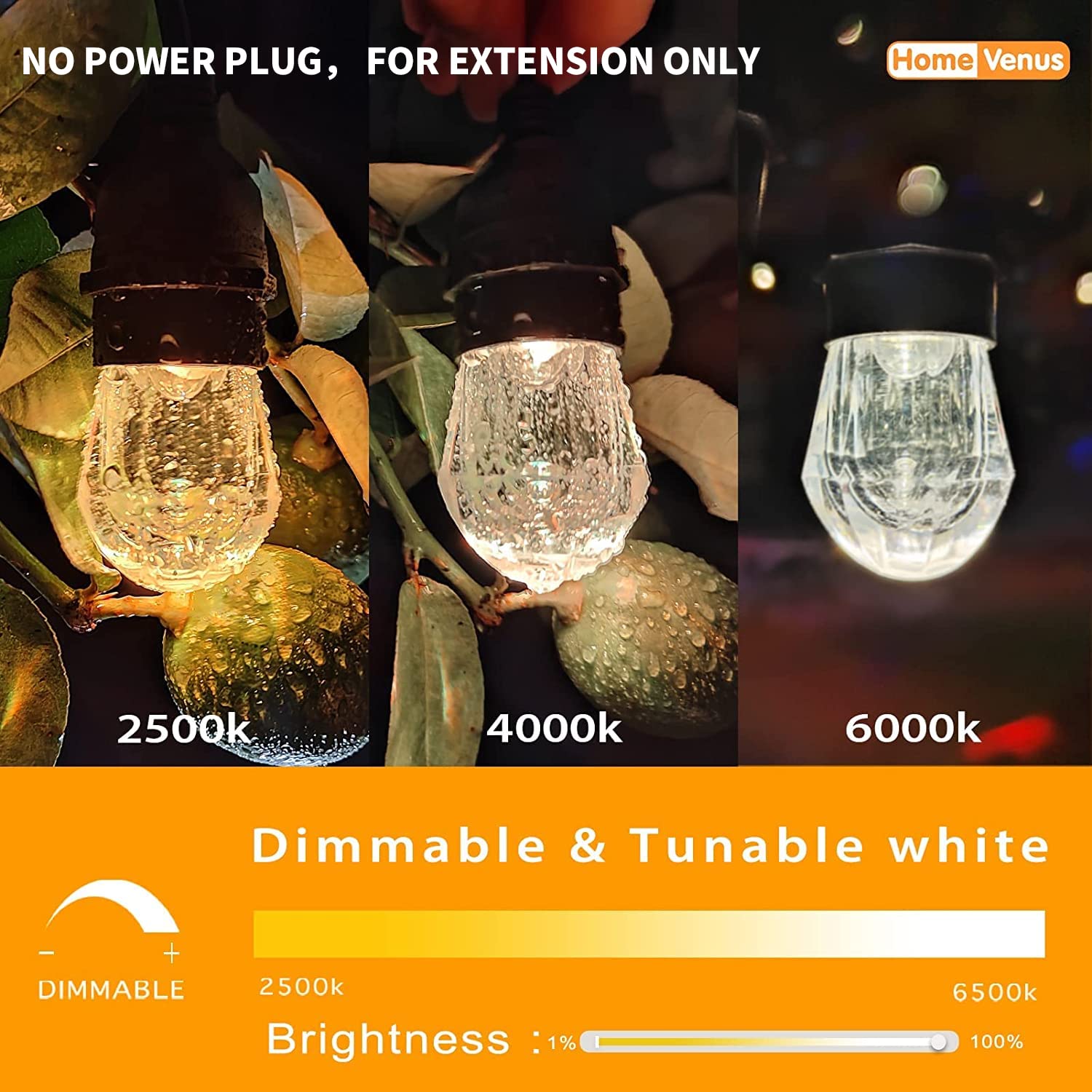 Backyard Lights Without Electricity Solar Pathway Lights Best Outdoor
