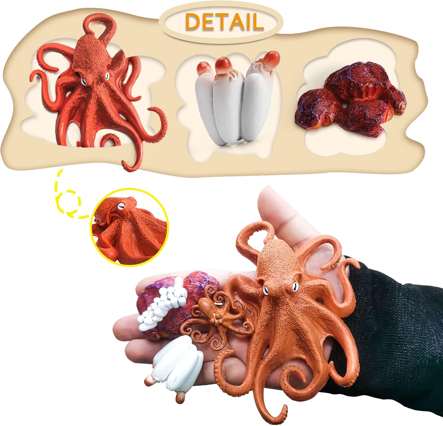 Octopus Life Cycle of Octopus Figurines Octopus Australia | Ubuy