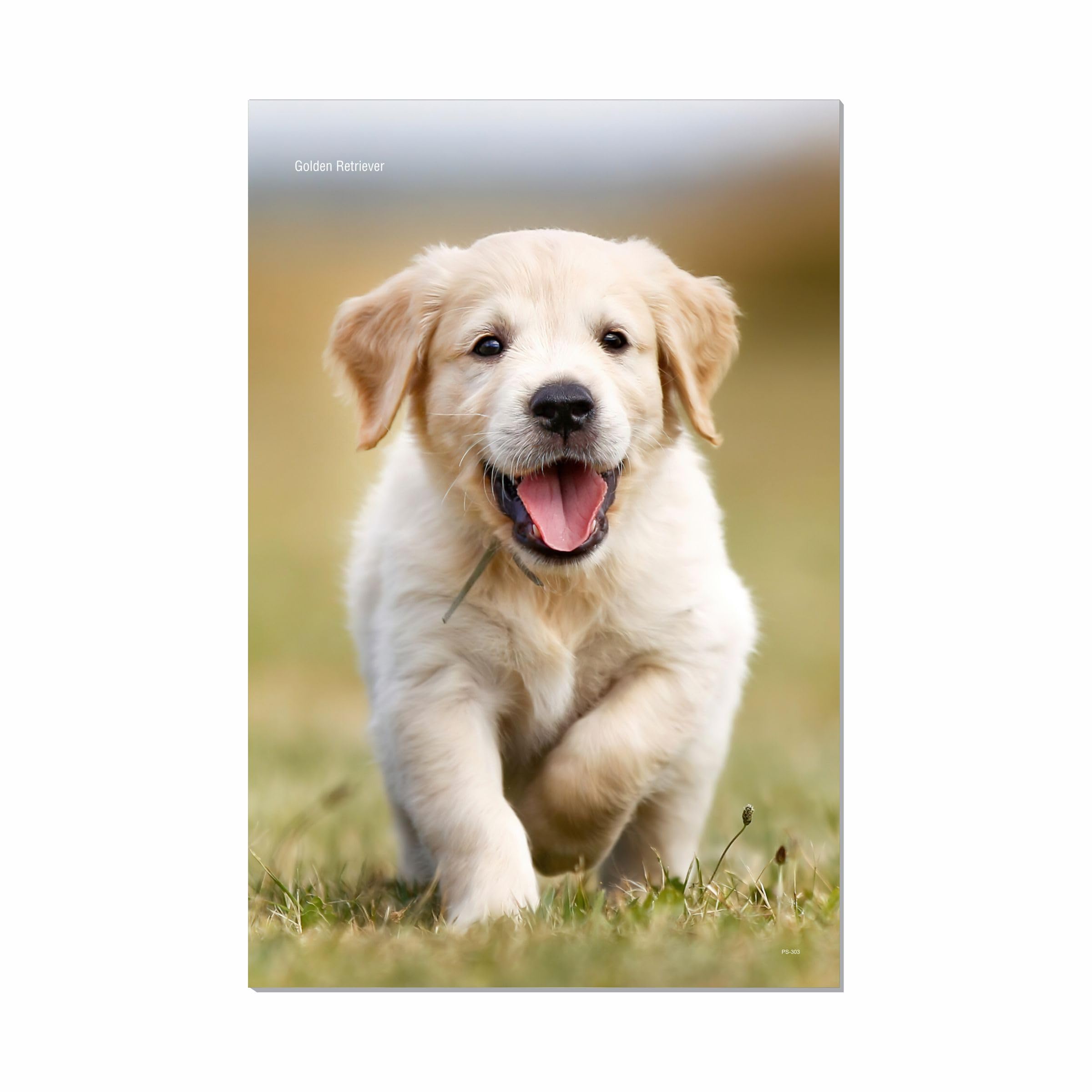 ESCAPER Dog Posters for Wall Decoration (12 x 18 inch), Puppy Dog ...