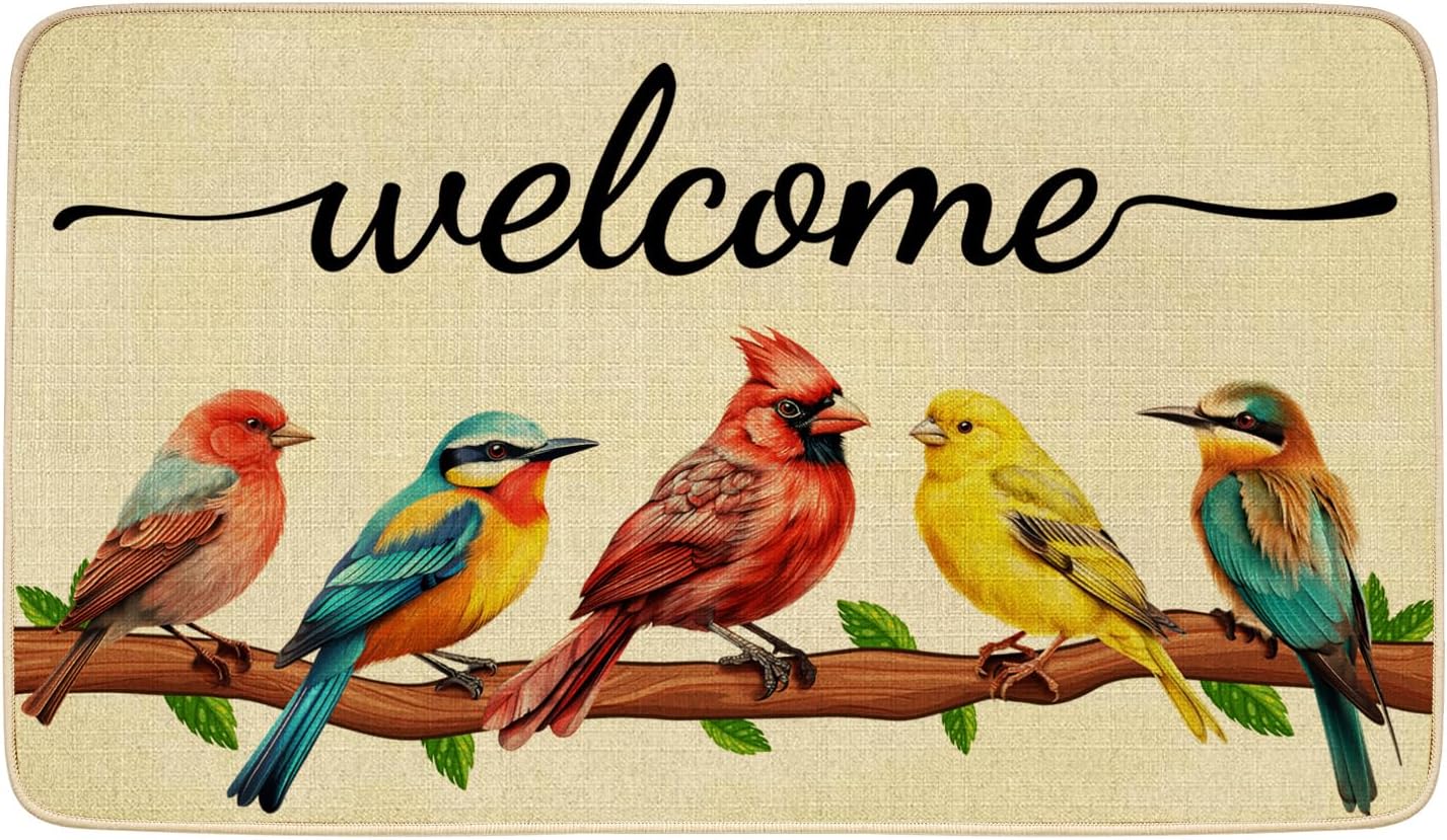 Amazon.com: JWXCBIM Spring Door Mat Bird Welcome Decor Doormat, Summer ...