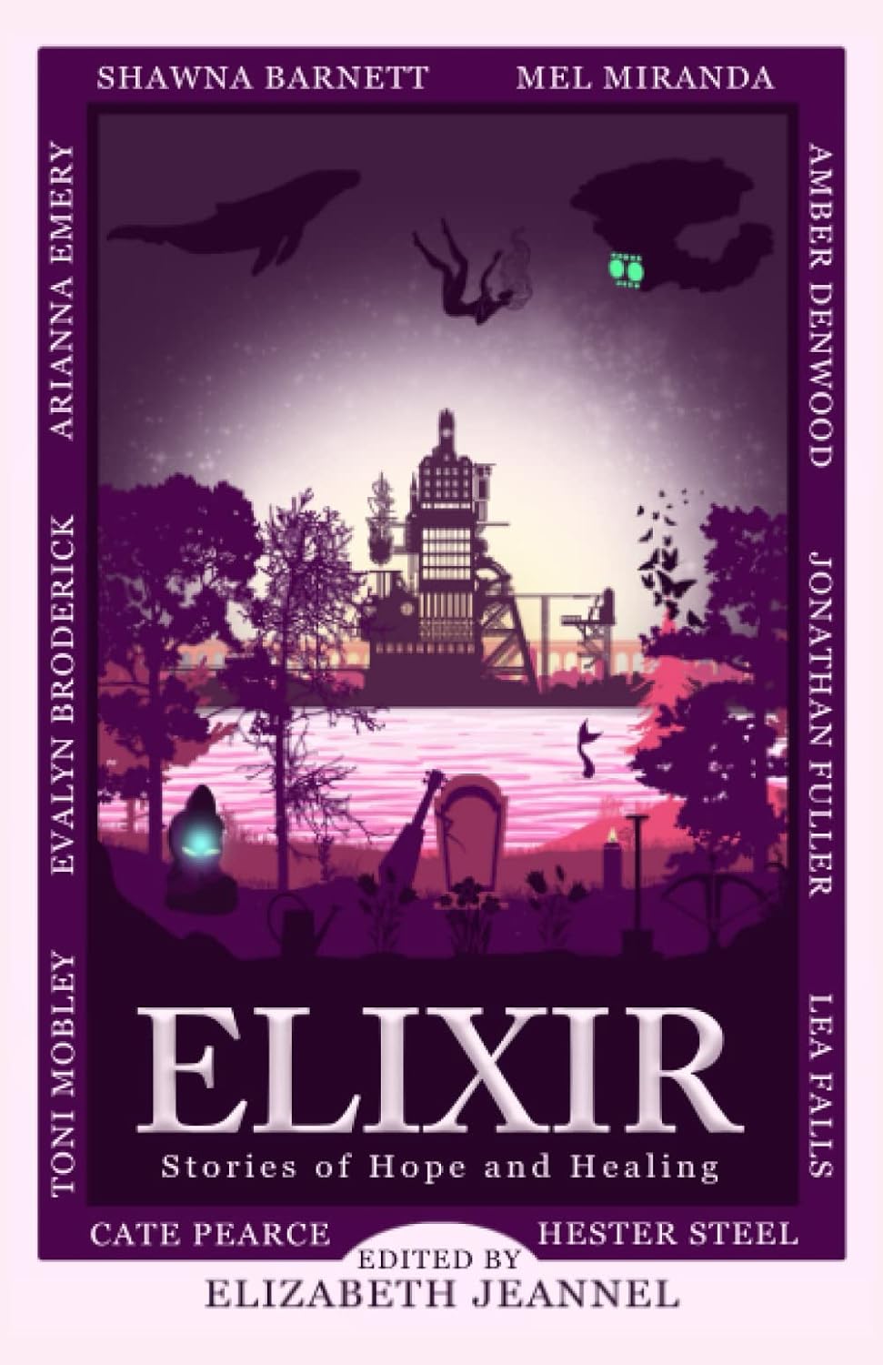 Amazon.com: Elixir: Stories of Hope and Healing: 9781956037999: Steel ...