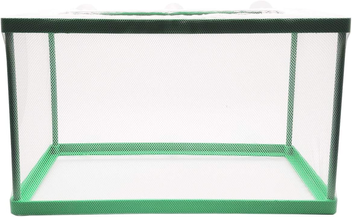 Amazon.com : Aquarium Fish Breeder Box, Fish Isolation Box, Hatching ...