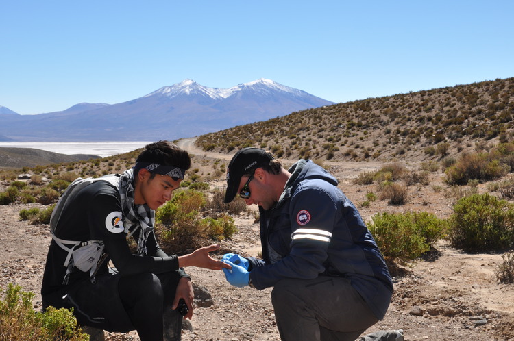 The Ripple Effect: Sleep Better, Eat Better, Move Better, Think Better ...