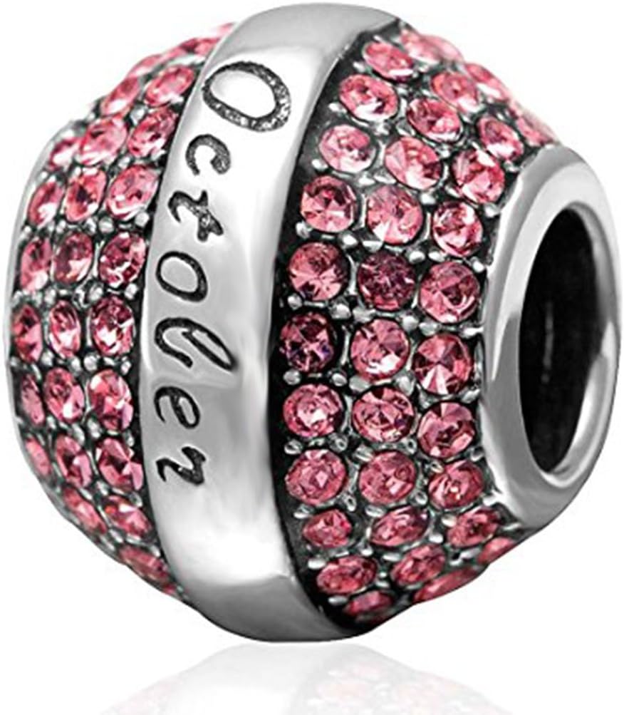 Amazon.com: Birthstone Charm 925 Sterling Silver October Charm with ...