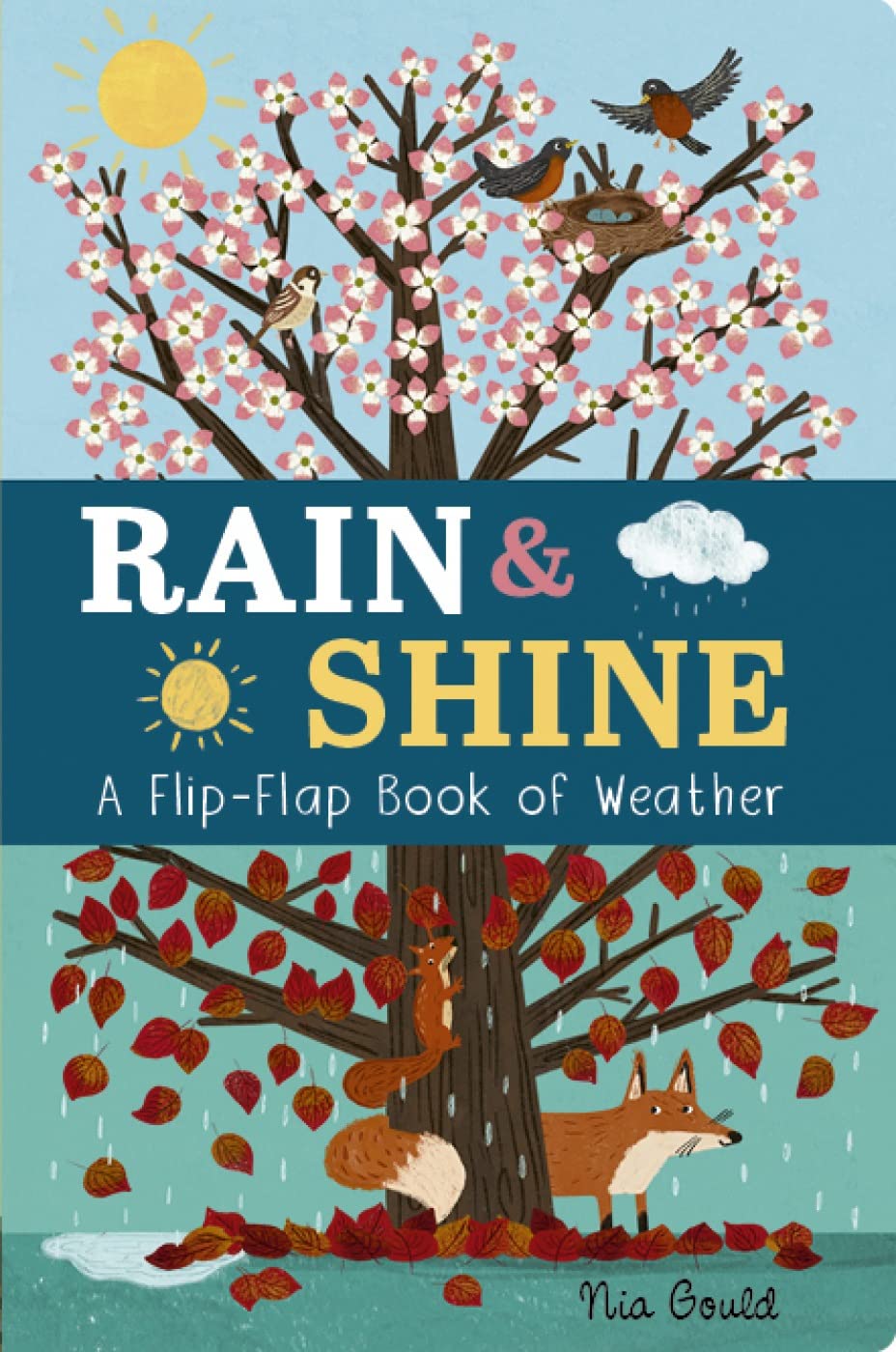 Rain & Shine: A Flip-Flap Book of Weather (Flip-Flap Books): Molly ...