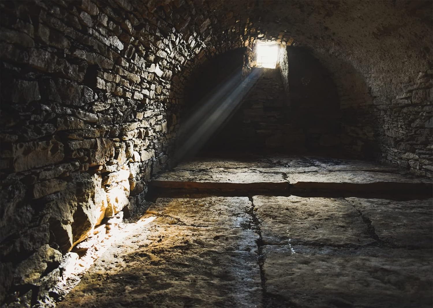 Amazon.com : BELECO 7x5ft Fabric Old Dungeon Cellar Backdrop ...