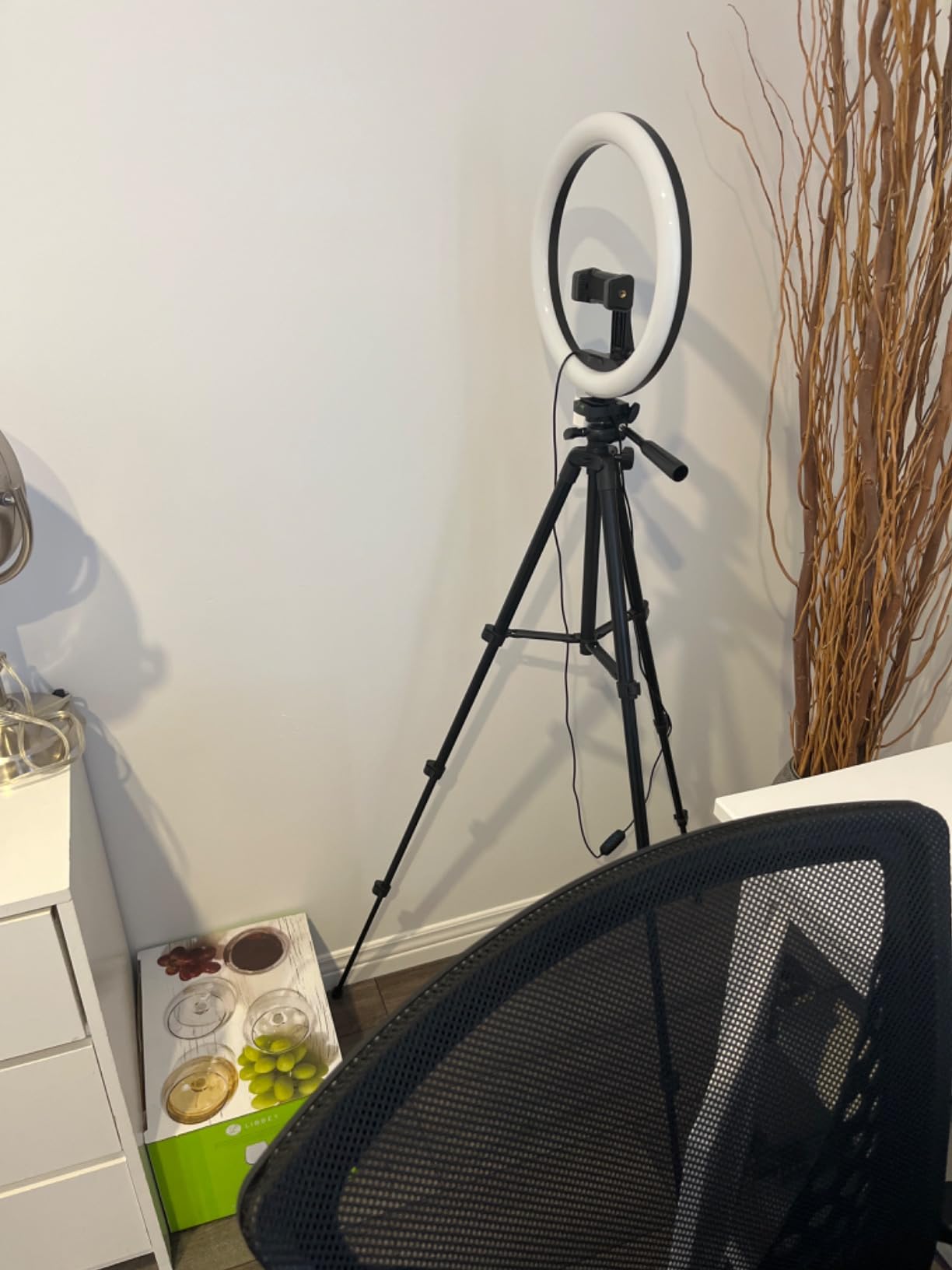 Lot de 2 lampes vidéo LED avec trépied de 160 cm, éclairage Obeamiu ...