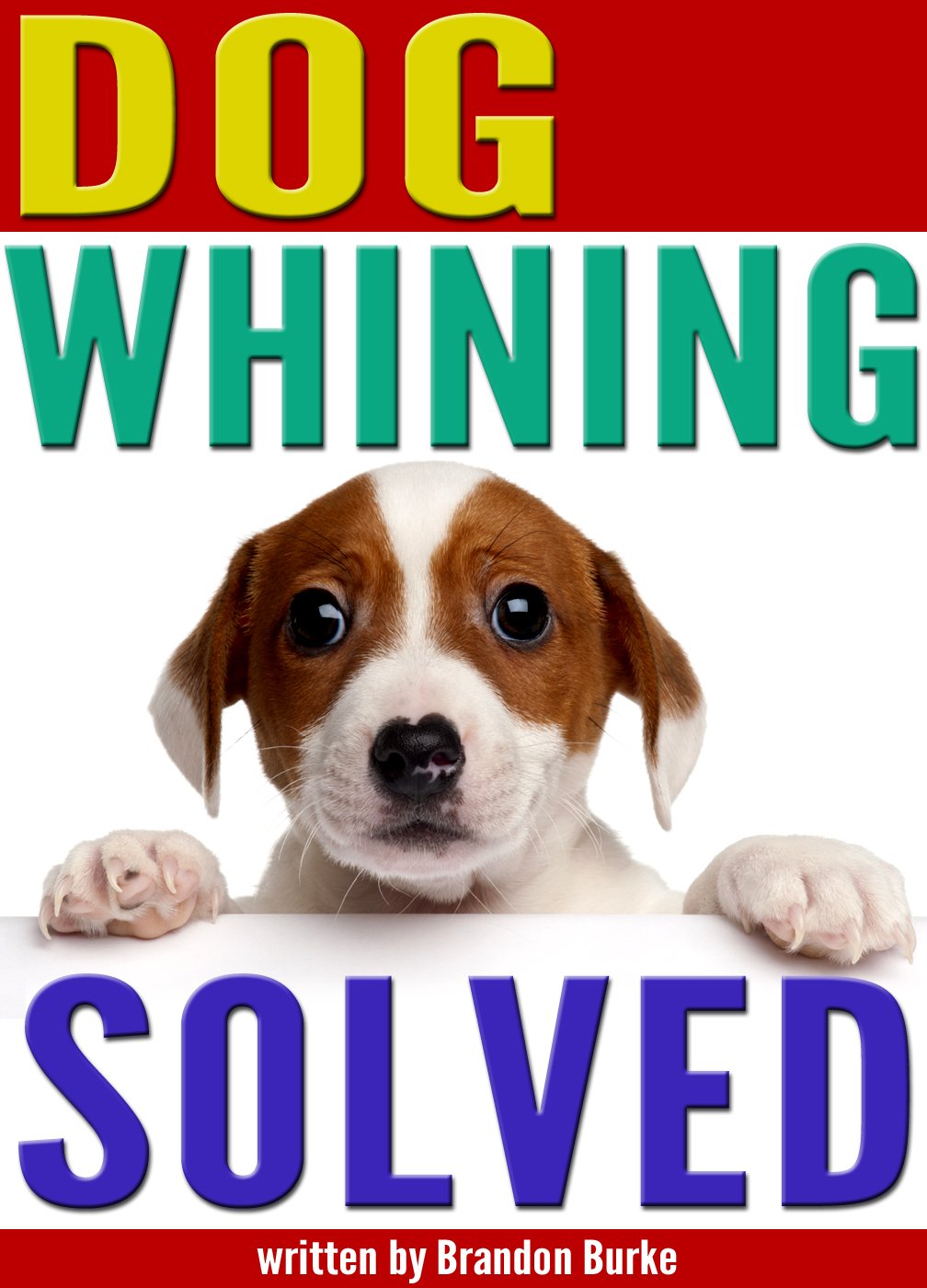 Dog Whining SOLVED: 9 Reasons Why Dogs Whine and How to Get Your Dog to ...