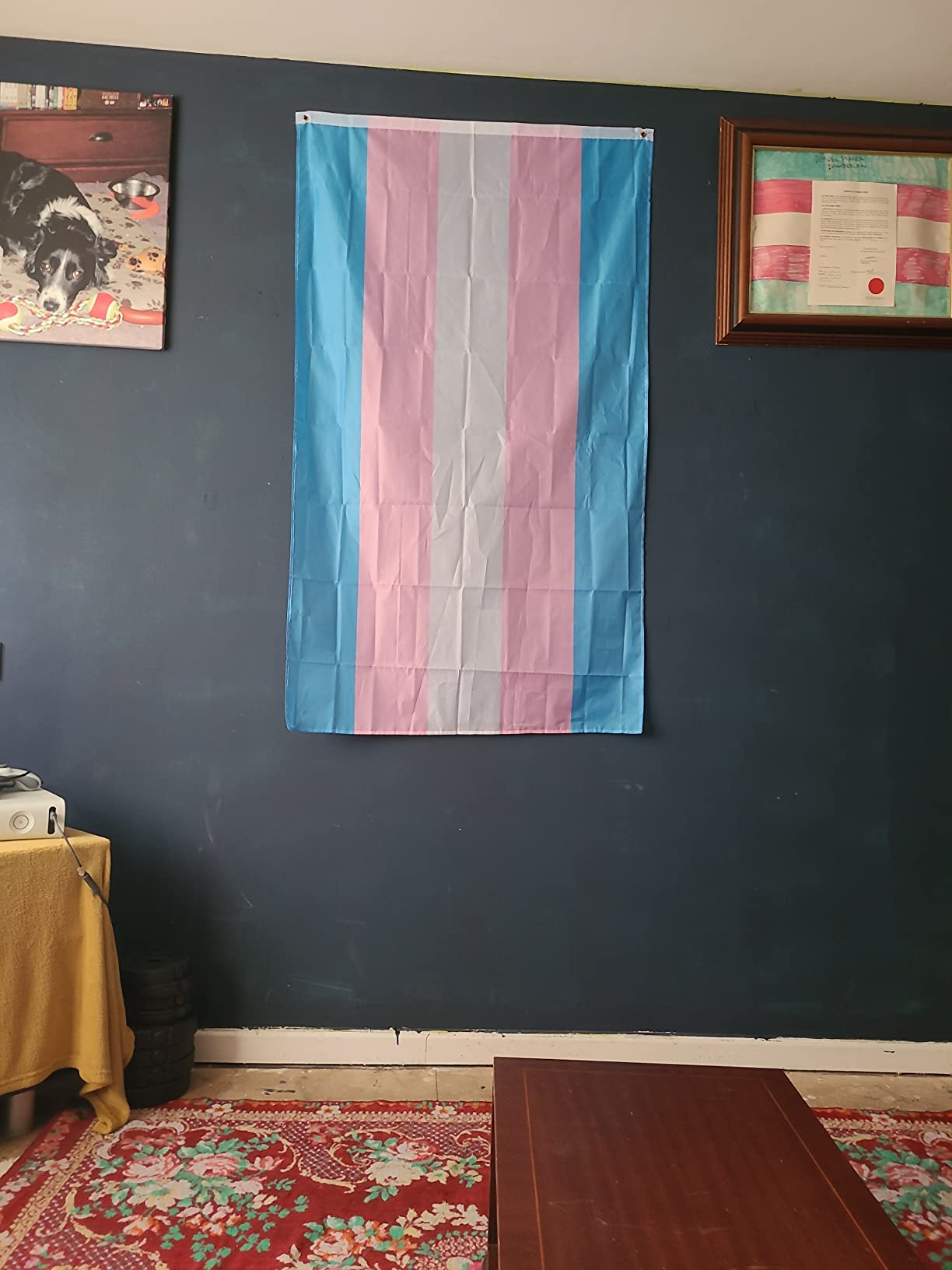 TRIXES Transgender Flag – LGBTQIA2s+ Pride Flags Home & Garden ...
