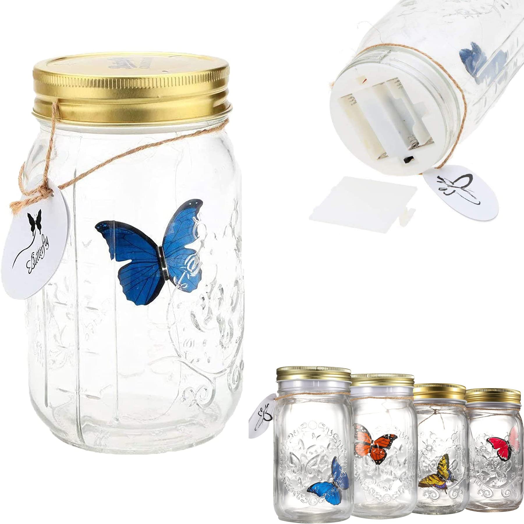 10 Best Butterfly Collection Jars for Displaying Your Beautiful Insects ...