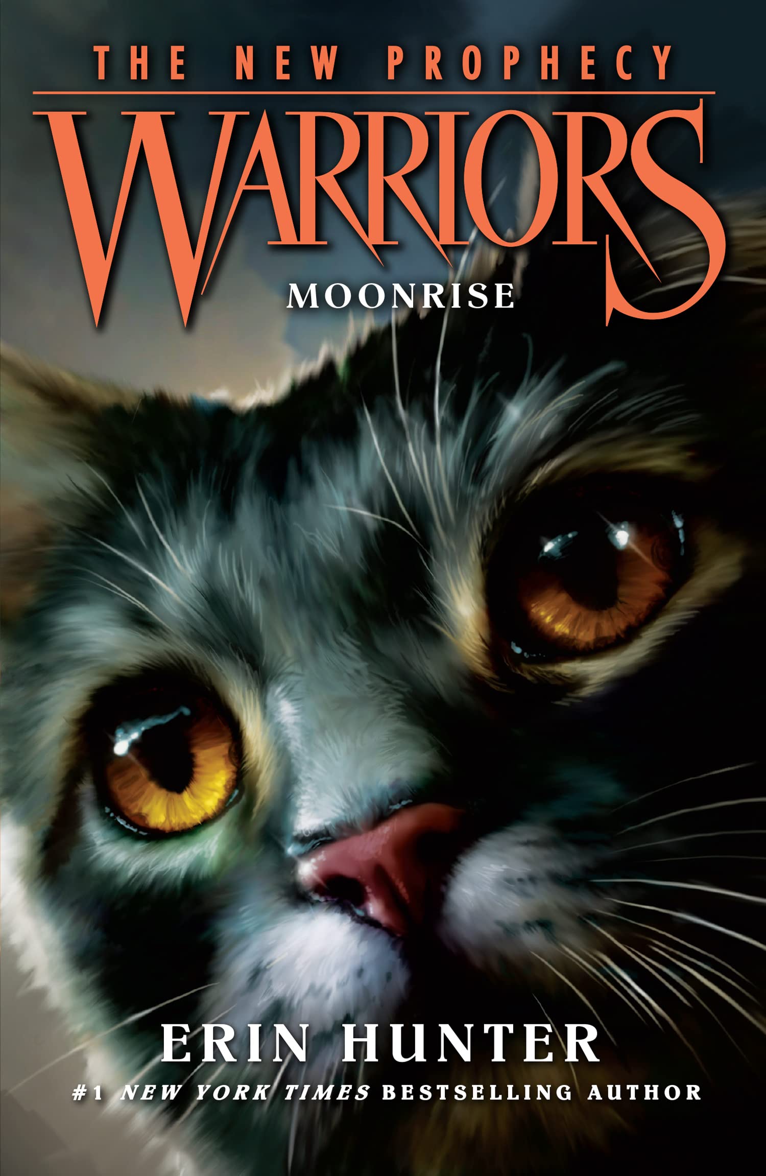 Warrior Cats Welche