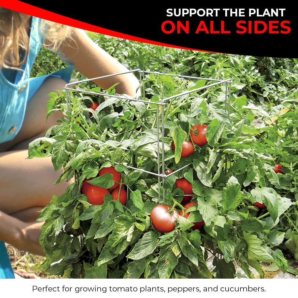 Snapklik.com : Cedar Ridge Square Foldable Tomato Cages - Heavy Duty ...