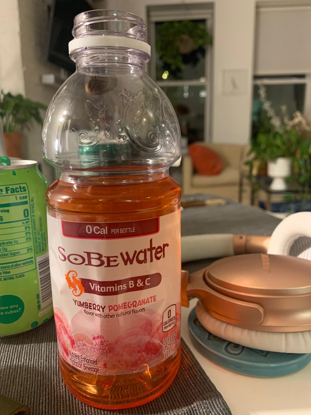 Amazon.com: Sobe Water Variety Pack, 3 Flavor Variety Pack, 20 Fl Oz ...