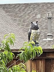 Amazon.com: Ugold Solar Powered Owl with Motion Detection, Silent Mode ...
