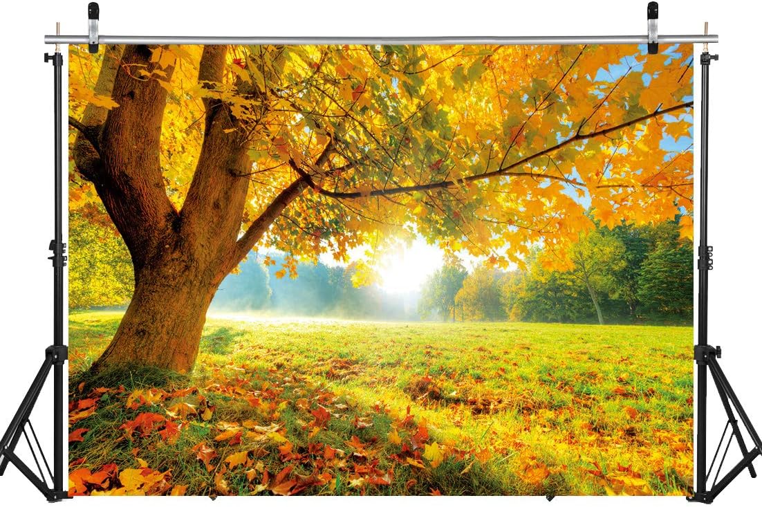 Amazon.com : Laeacco Autumn Forest Backdrop 10x8FT Fall Landscape ...