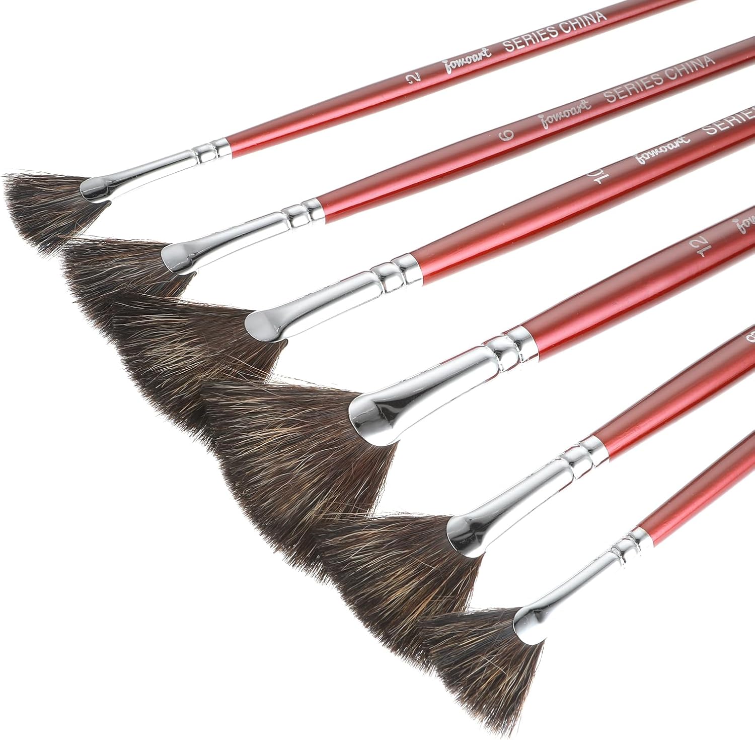 Prasacco 6 Pieces Fan Paint Brush Set, Fan Shape Acrylic Paint Brush ...
