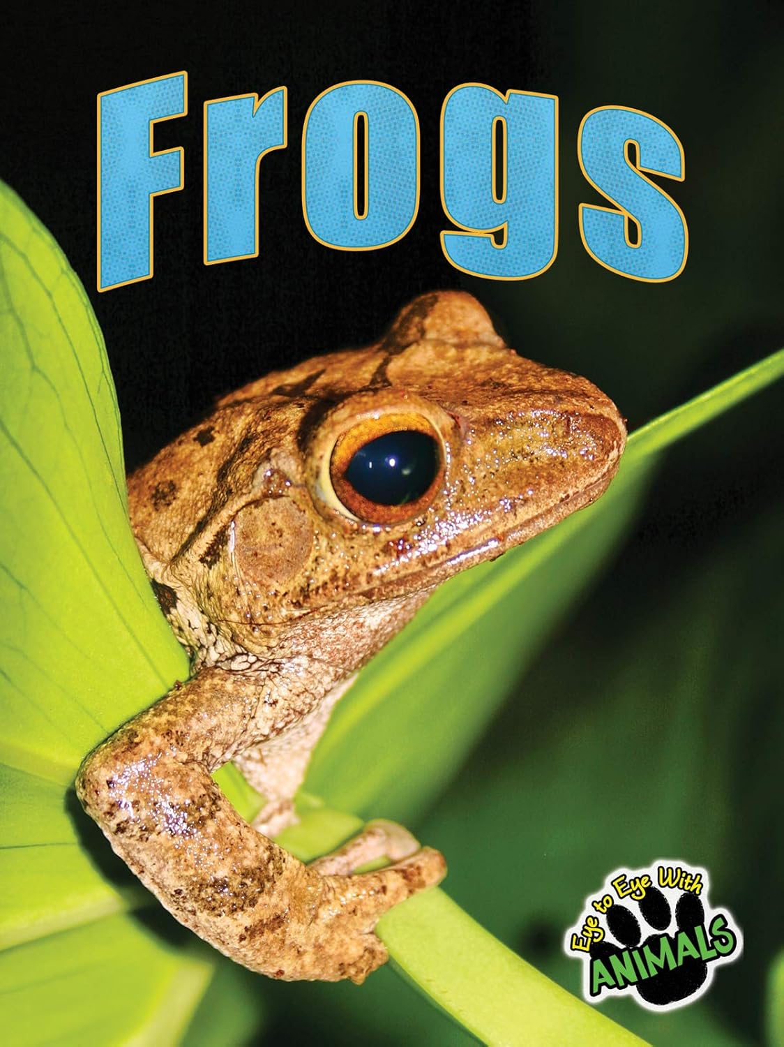 Rourke Educational Media Frogs (Eye To Eye With Animals) - Kindle ...