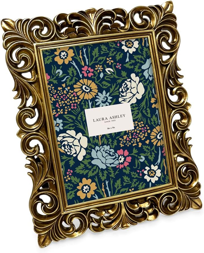 Amazon.com - Laura Ashley 5x7 Gold Vintage Inspired Resin Scroll Design ...