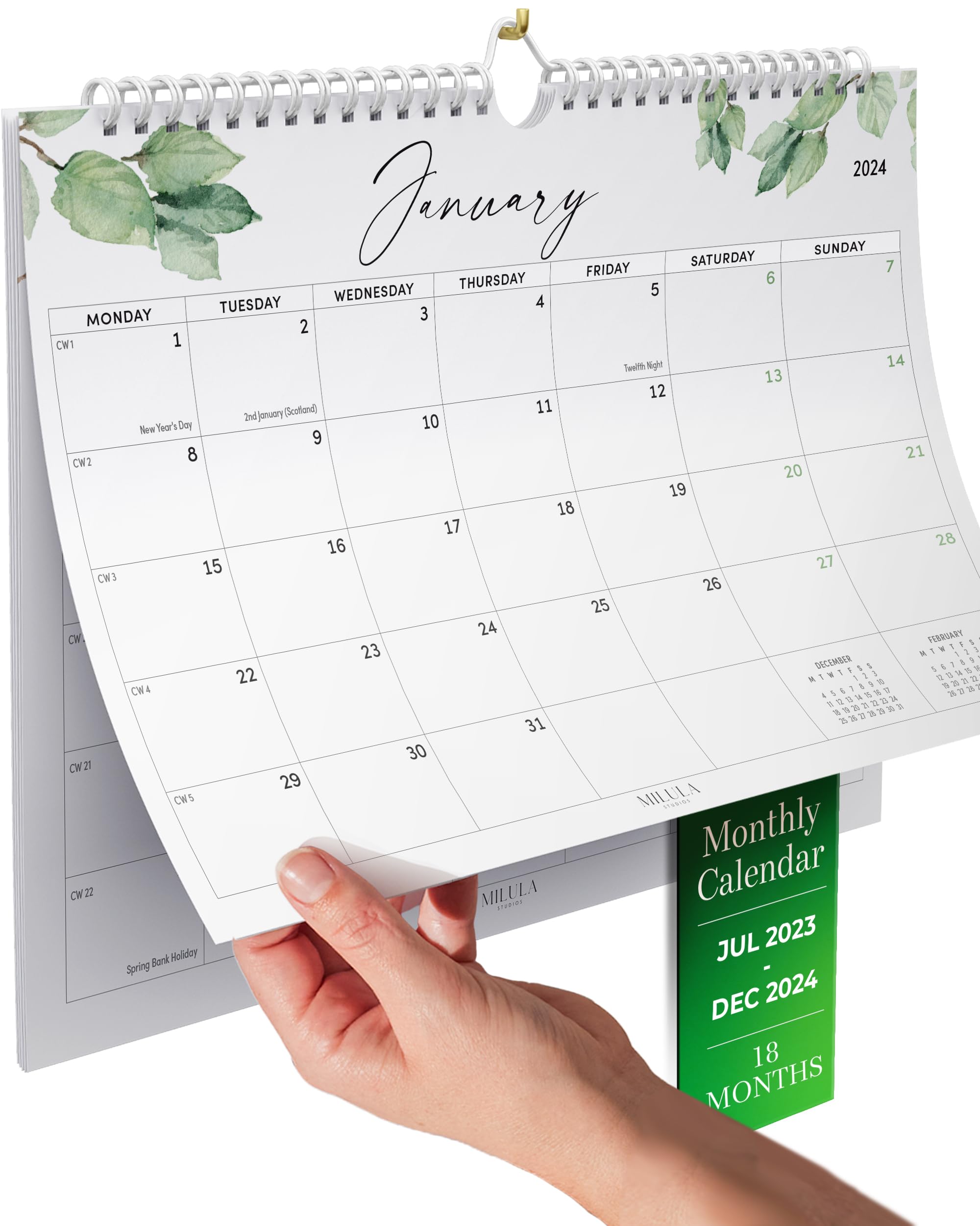 Buy 2023/24 Greenery Wall - July 2023 to December 2024 (monthly in A4 ...