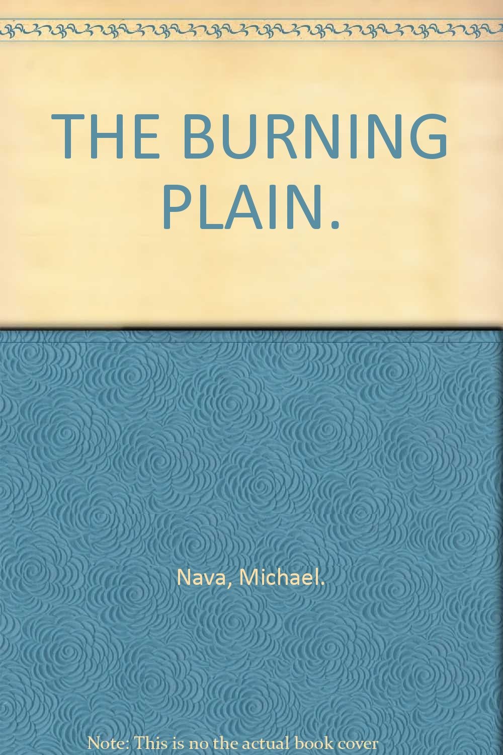 THE BURNING PLAIN.: Nava, Michael.: Amazon.com: Books