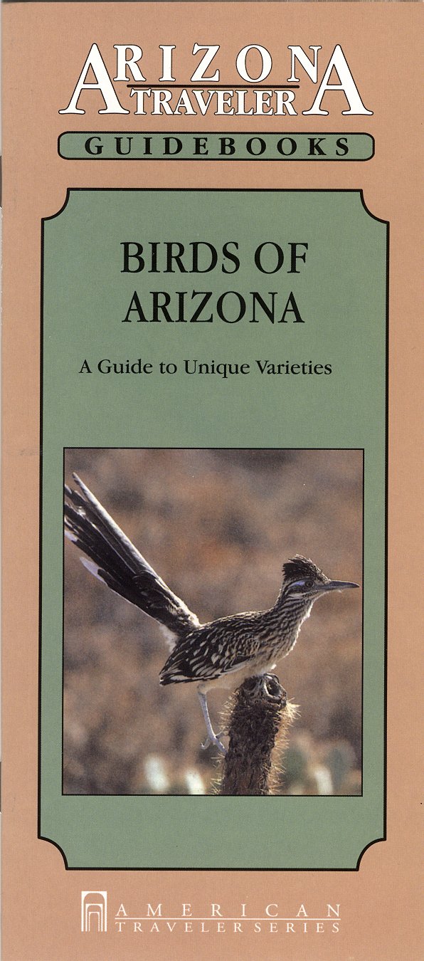 Birds of Arizona: A Guide to Unique Varieties (Arizona Traveler ...