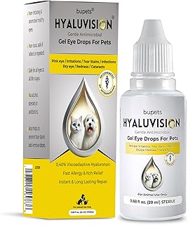 Treating Eye Infections In Chickens: A Quick Guide | CyChicken