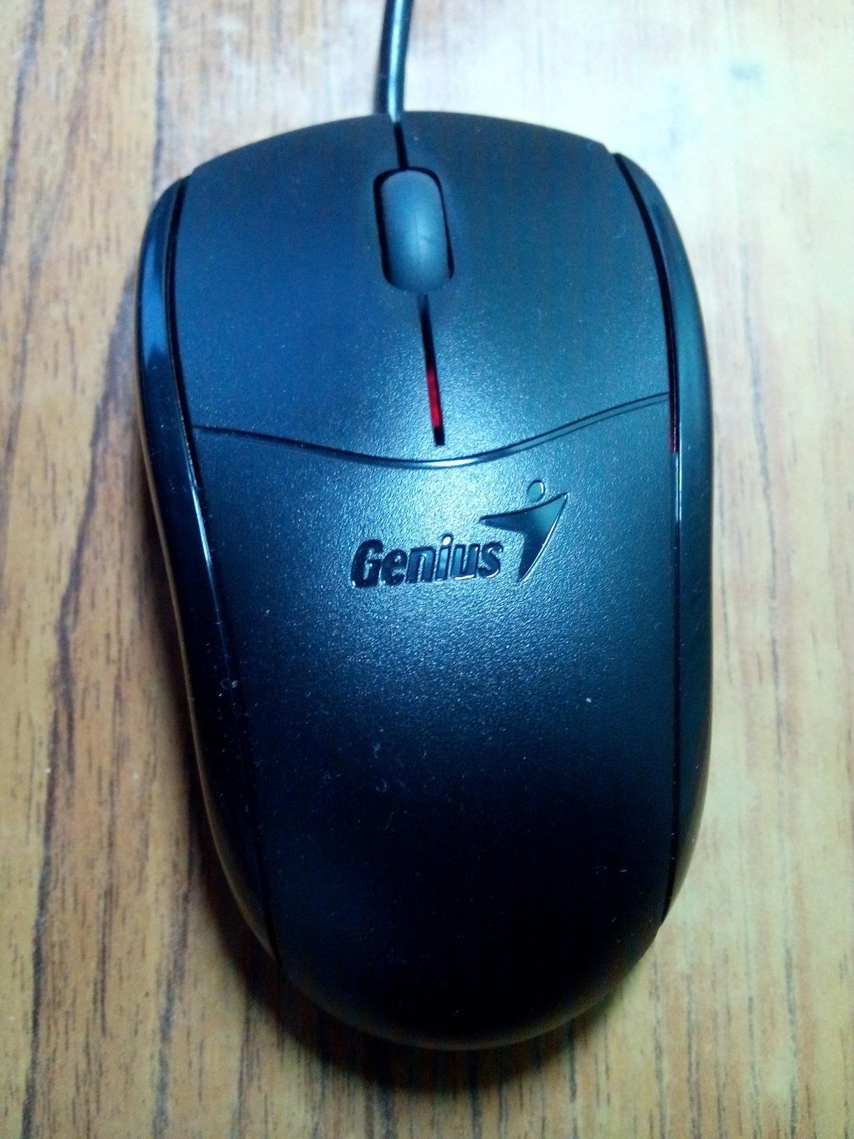 Amazon.in: Buy Genius NetScroll 110X Stylish Optical Mouse Online at ...