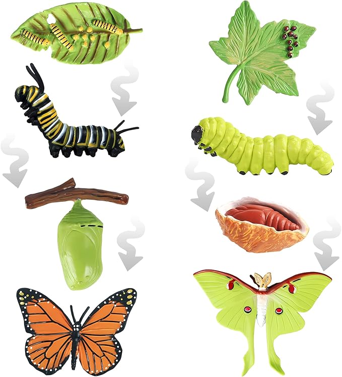 Lets Joy Insect Figures, 8 Pieces Butterfly Life Cycle Model Insect ...