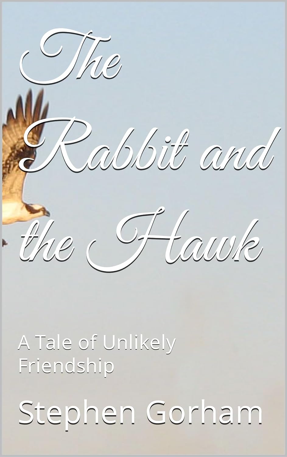 Amazon.co.jp: The Rabbit and the Hawk : A Tale of Unlikely Friendship ...