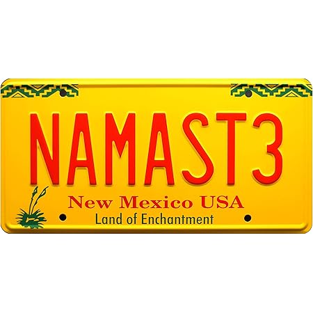 Amazon.com: Breaking Bad | The CAPN | Metal Stamped License Plate ...