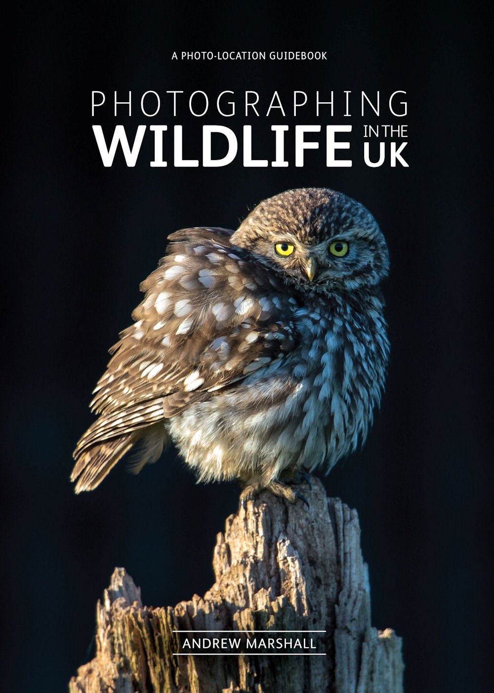 Photographing Wildlife in the UK - where and how to take great wildlife ...