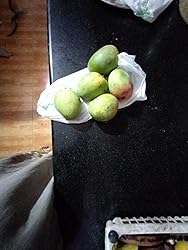 Fresh Mango, Sindhura (Lalbagh), 1 kg : Amazon.in: Grocery & Gourmet Foods