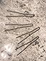 Amazon.com : 100 Pack of Bun Hair Pins U Shaped Pins with Box and ...