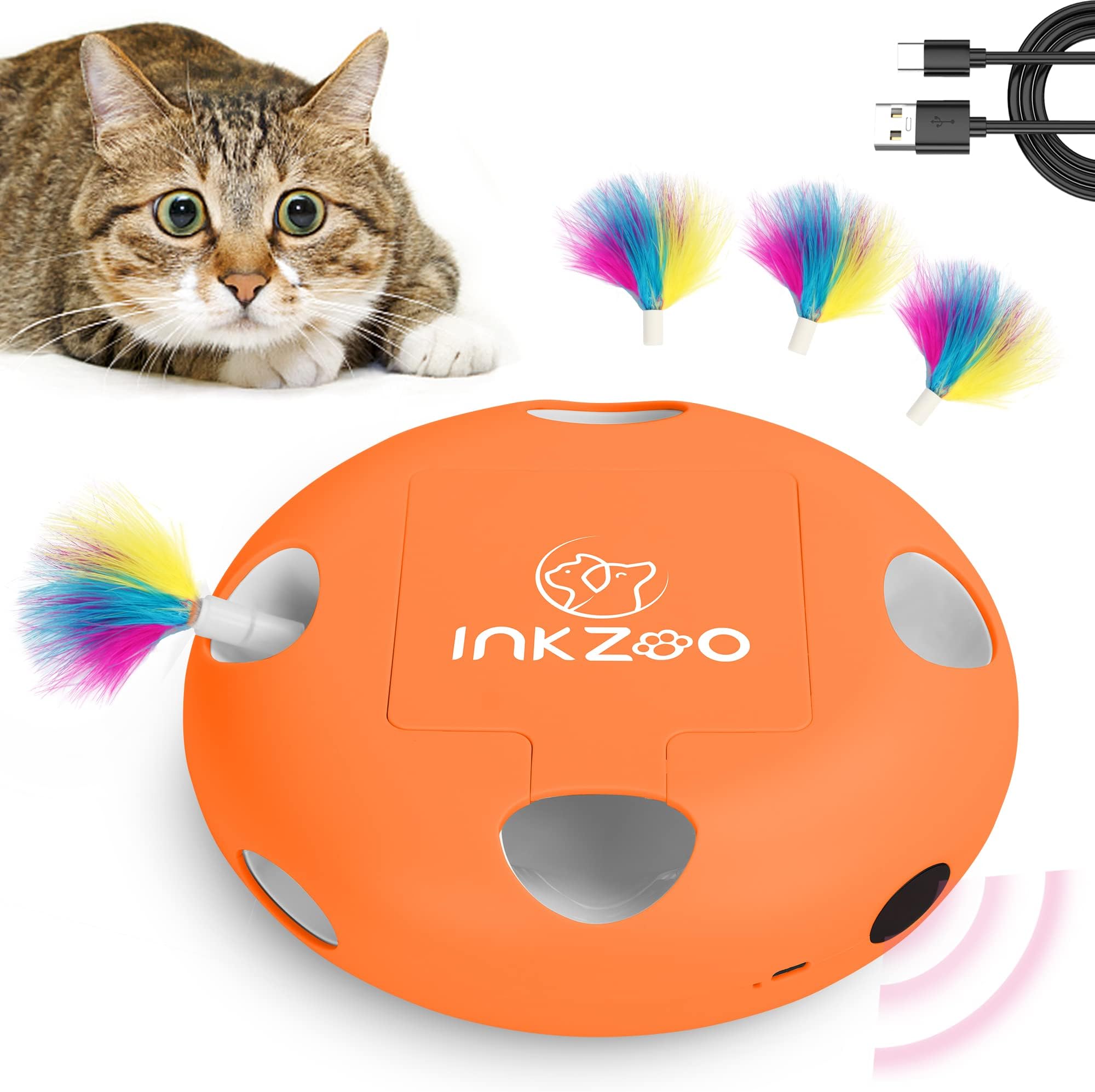 Amazon.com : ALL FOR PAWS Whack A Mole Cat Mouse Toy for Cats ...