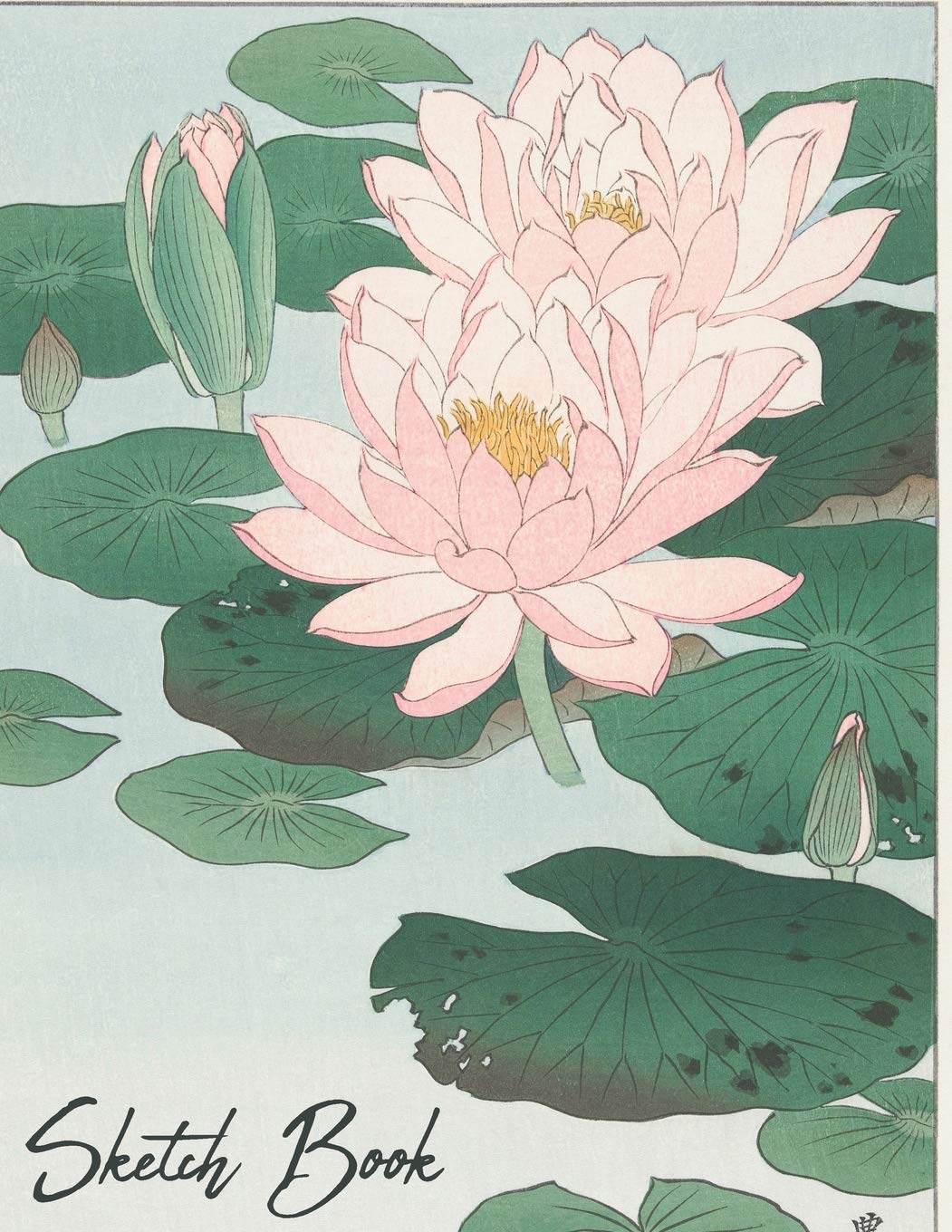 Water Lily Drawings