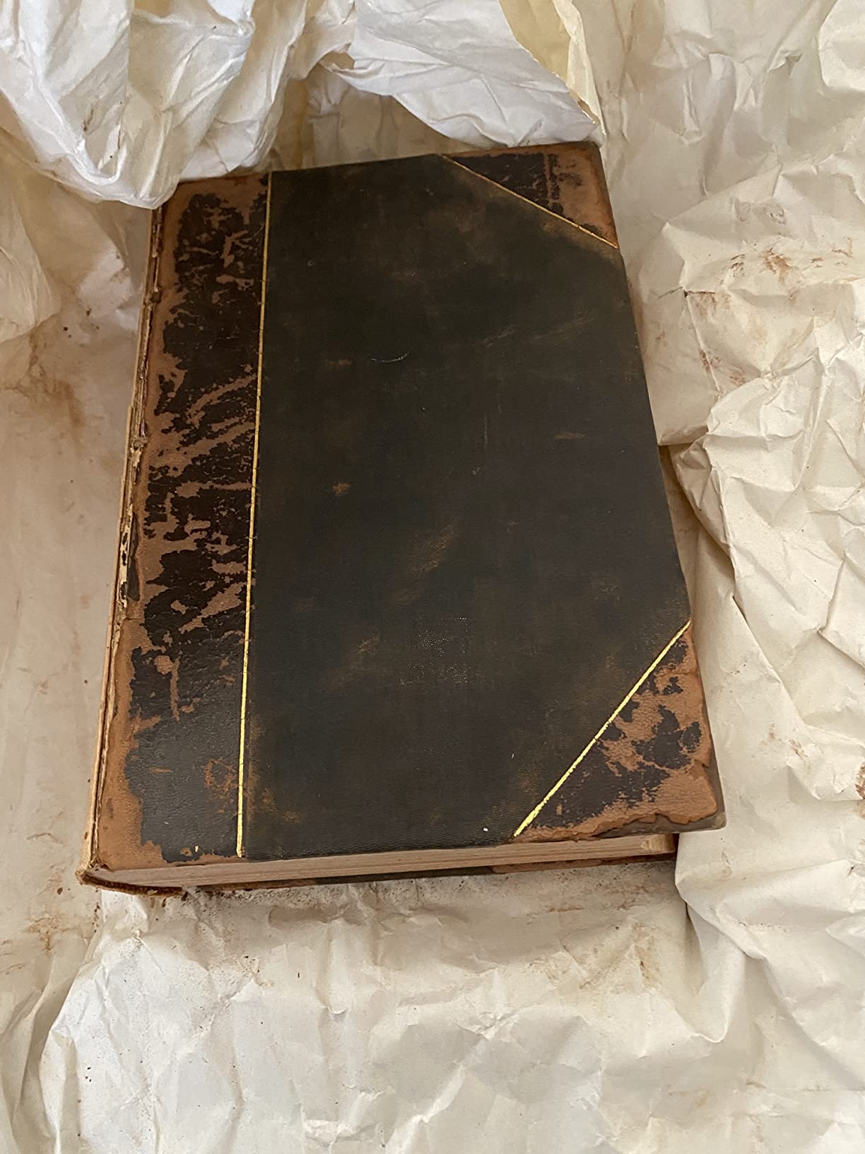 History of the Dudley Family, Vol. 1: With Genealogical Tables ...