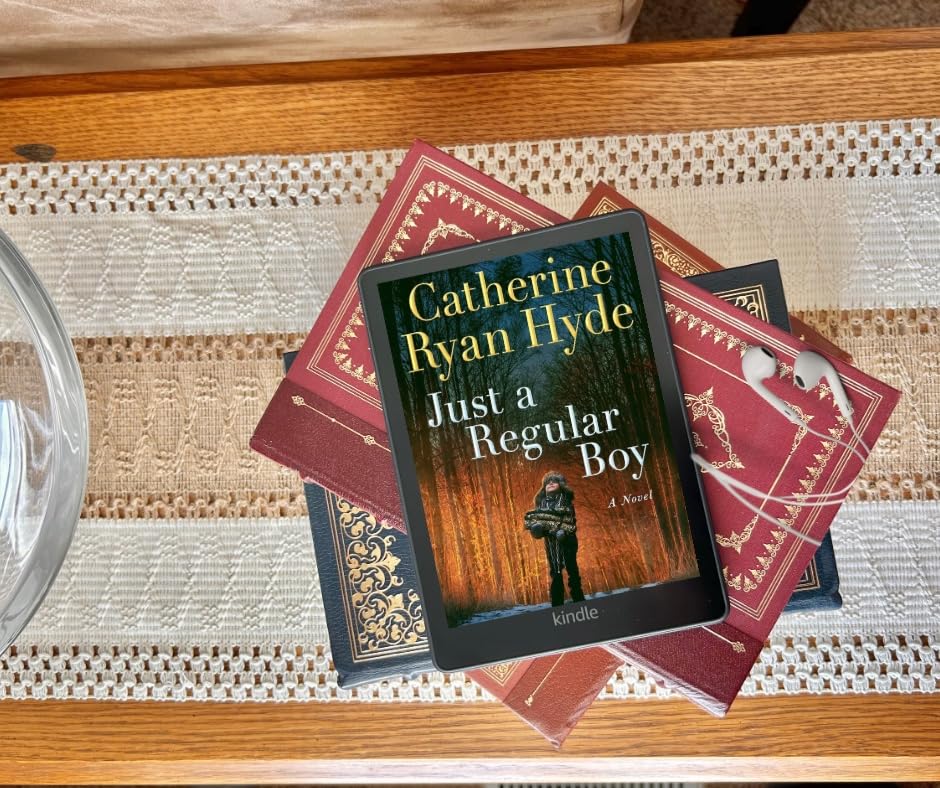 Just a Regular Boy: A Novel: Hyde, Catherine Ryan: 9781662504358 ...
