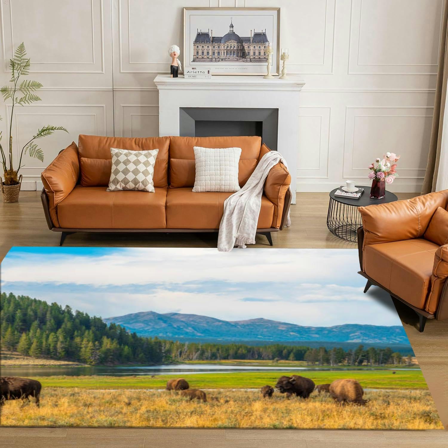 Amazon.com: Yellowstone National Park National Park American Bison ...