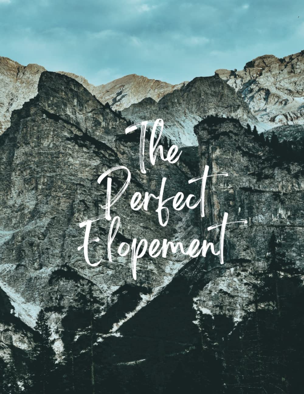 Amazon.com: WEDDING PLANNER, ELOPEMENT WEDDING, ELOPEMENT PLANNER ...