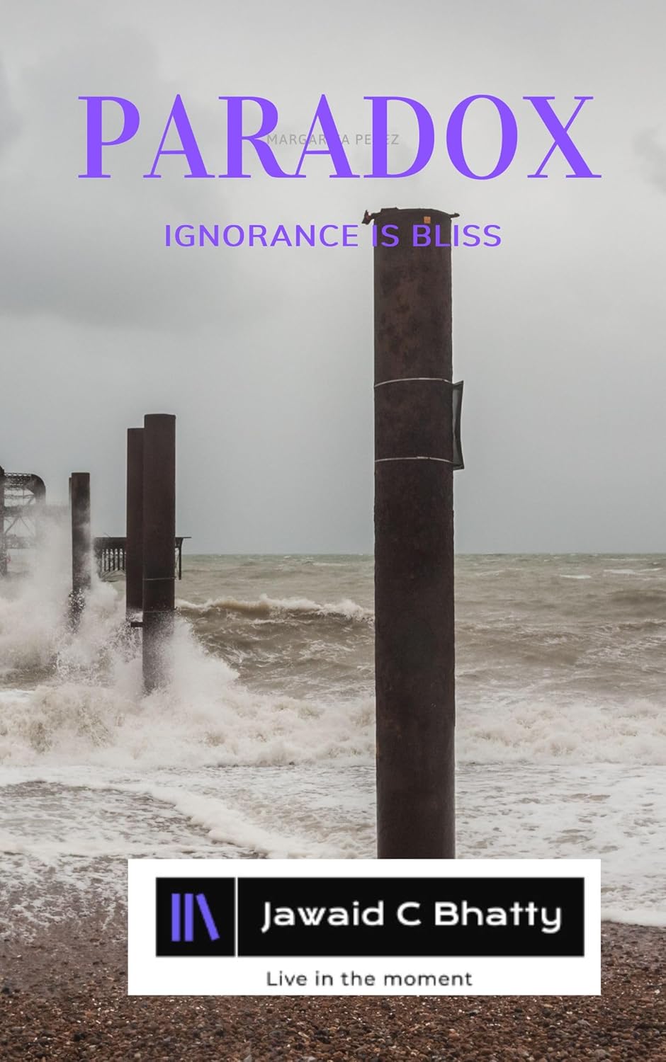 Amazon.com: Living in Paradox: A Journey Through Life's Contradictions ...