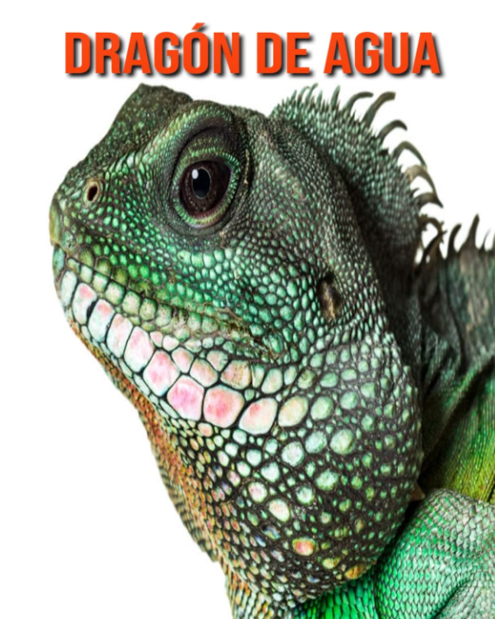Buy Dragón de agua: Libro para niños con imágenes hermosas y datos ...