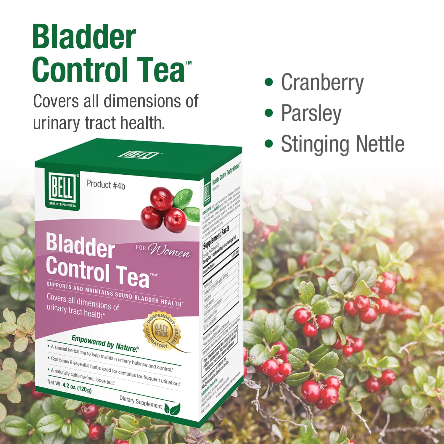 Snapklik.com : Bladder Control Tea For Women - A Special Herbal Tea To ...