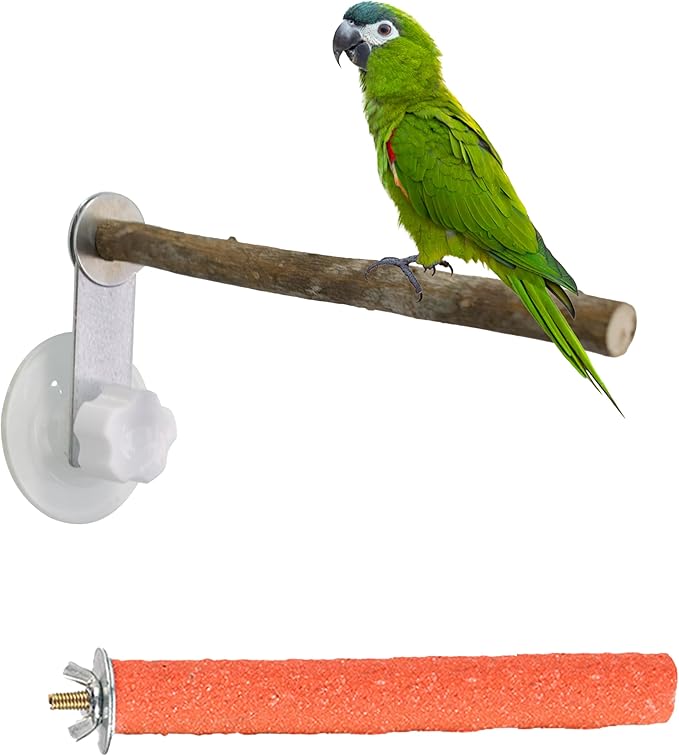 Amazon.com : 2 PCS Bird Perch with Suction Cup Window Wall Bath Car ...